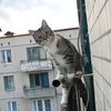 Как в 50 выглядеть на 35 / Все для женщины